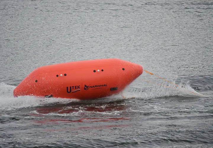 Inflatable Target Proteus - Utek